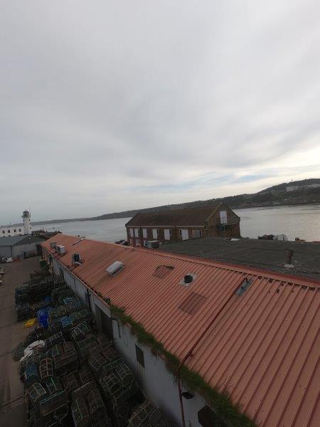 Mason Clark Associates